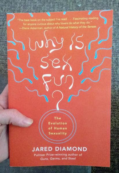 Why Is Sex Fun The Evolution Of Human Sexuality Vora Vine