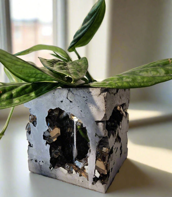 LACUNA Collection – VORA + VINE